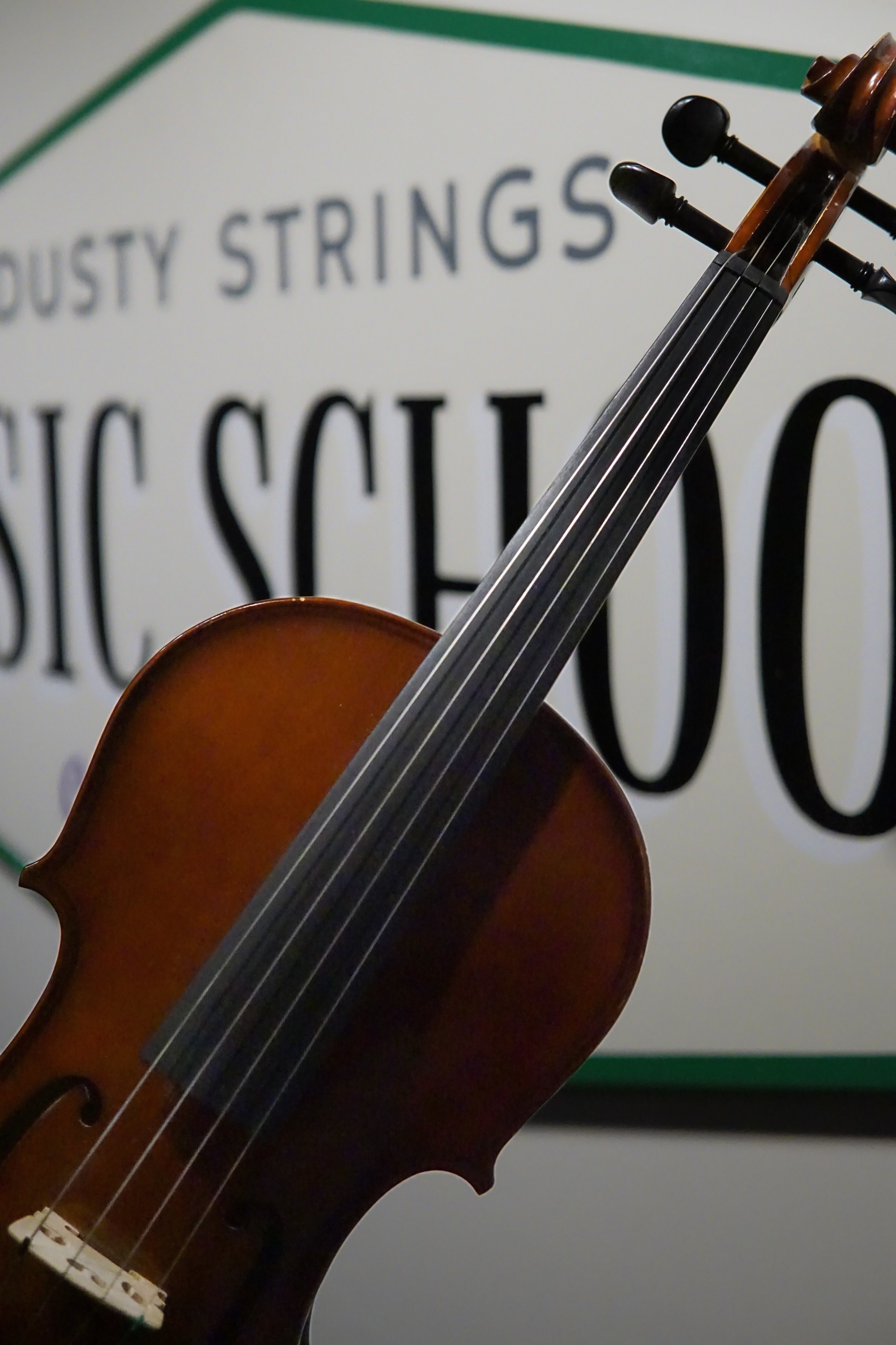 Violin Family Lessons | Dusty Strings Music School