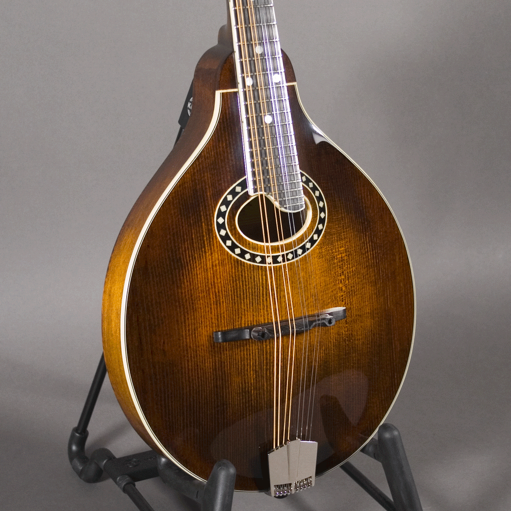 Eastman MD504 – Dusty Strings