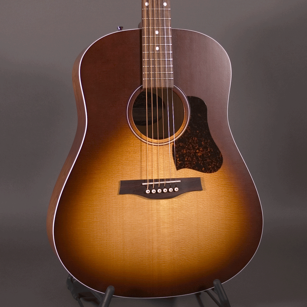 Seagull Entourage Autumn Burst – Dusty Strings