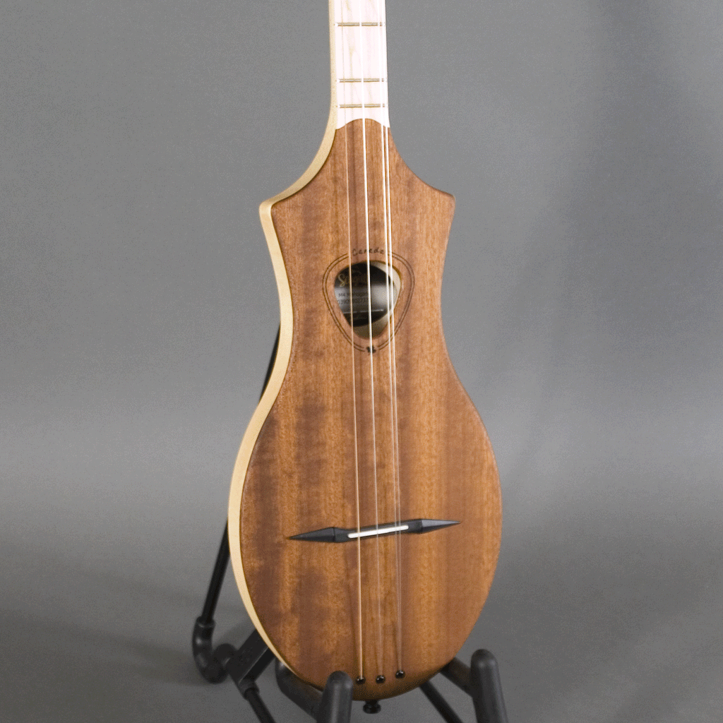 Seagull M4, Mahogany with Gig Bag – Dusty Strings